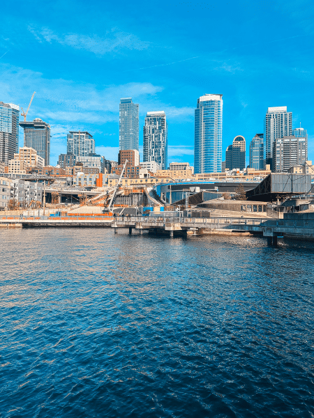 Seattle Aquarium: Essential Guide to Visiting with Kids