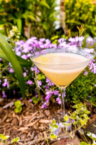 Pear Cosmopolitan and Pear Martini Recipe Inspired by Jasper Canada