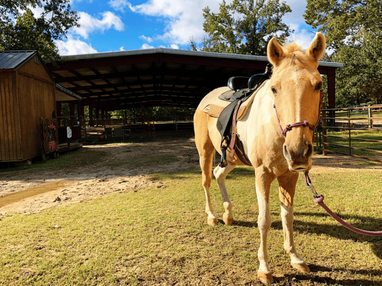 10 Exciting Things to do in Ruston Louisiana