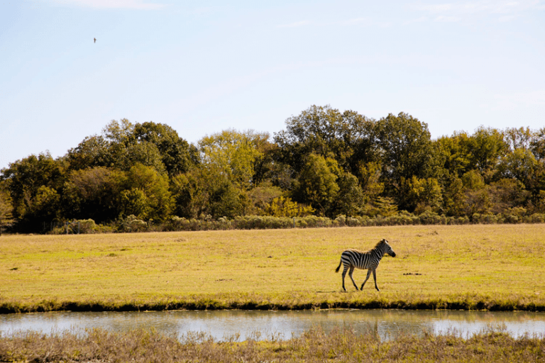 10 Exciting Things to do in Ruston Louisiana