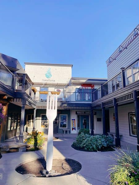 25+ Seasonal and Amazing Things to Do in Bigfork MT