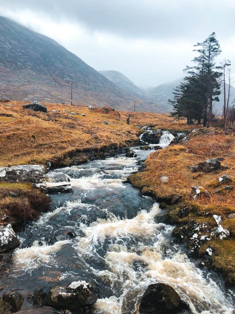 Your Essential Guide to Connemara National Park Ireland