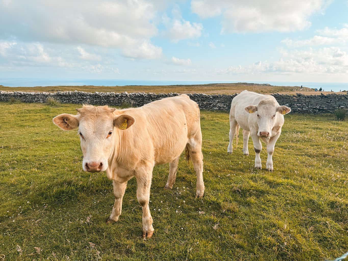 50+ Beautiful Things to do in Doolin Ireland