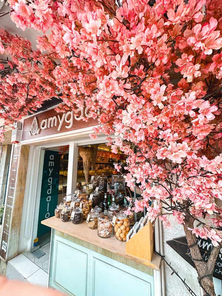 50+ Unique and Tasty Things to do in Athens Greece