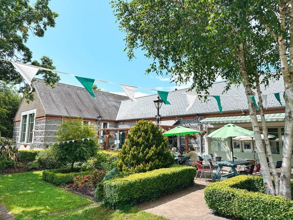 12+ Awesome Things to do in Adare Ireland