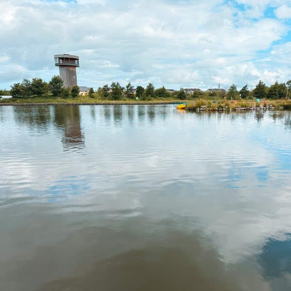 25+ Unique & Fun Things to do in Tralee Ireland