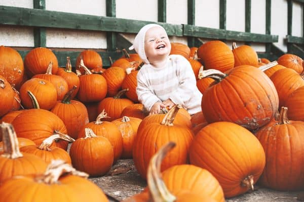 13 Best Bay Area Pumpkin Patches Approved By Us