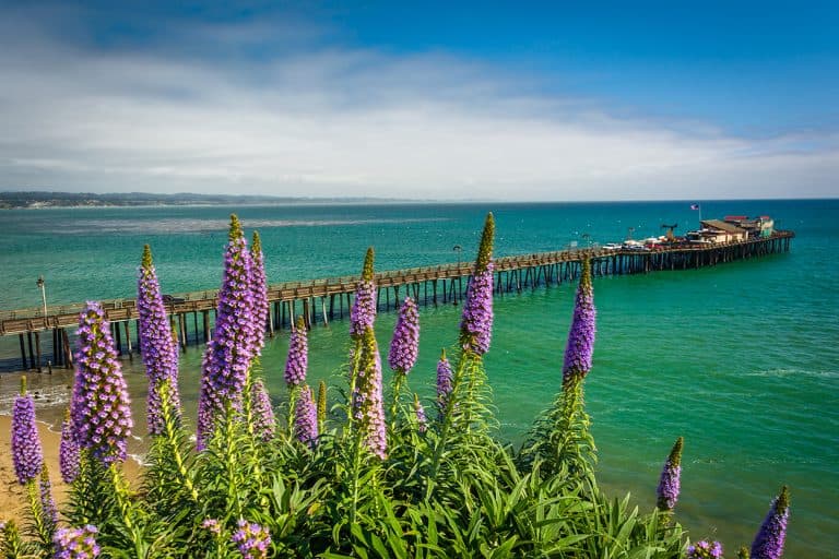 Frequently Asked Questions about Capitola, CA (FAQ)