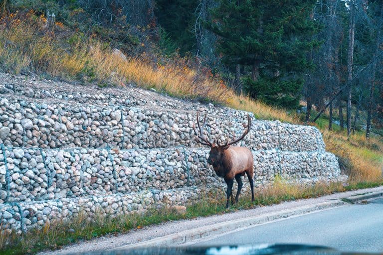 How to Plan the Perfect 3 Day Jasper National Park Itinerary