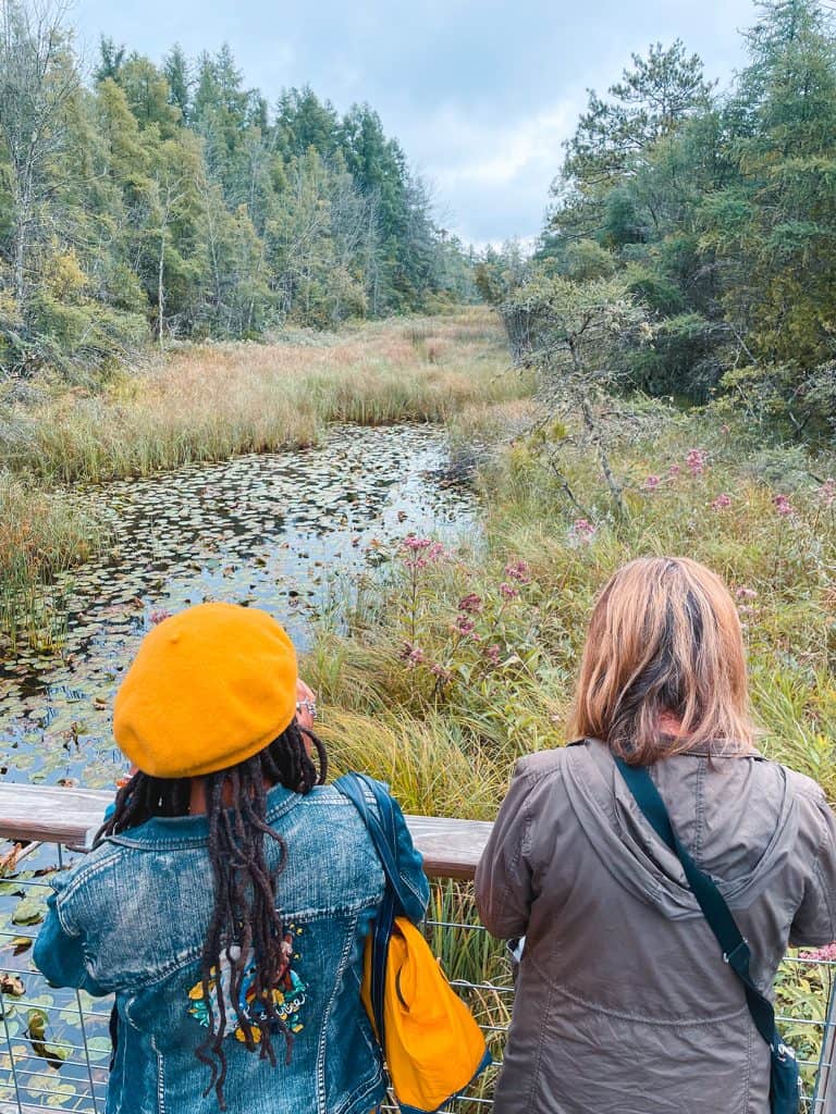 The Ridges Sanctuary