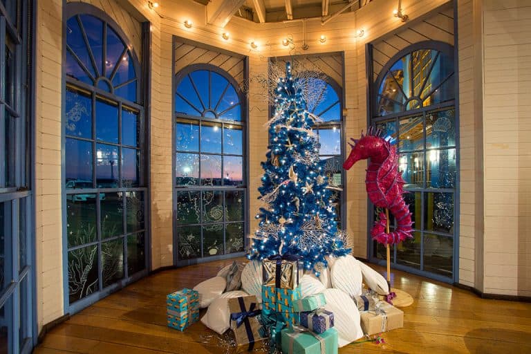 credit Kristina Sado