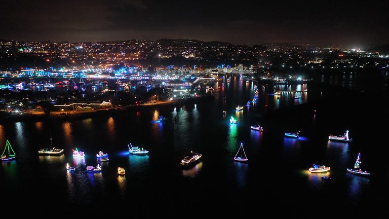 15 Fantastic Things to do in Dana Point at Christmas (2023)