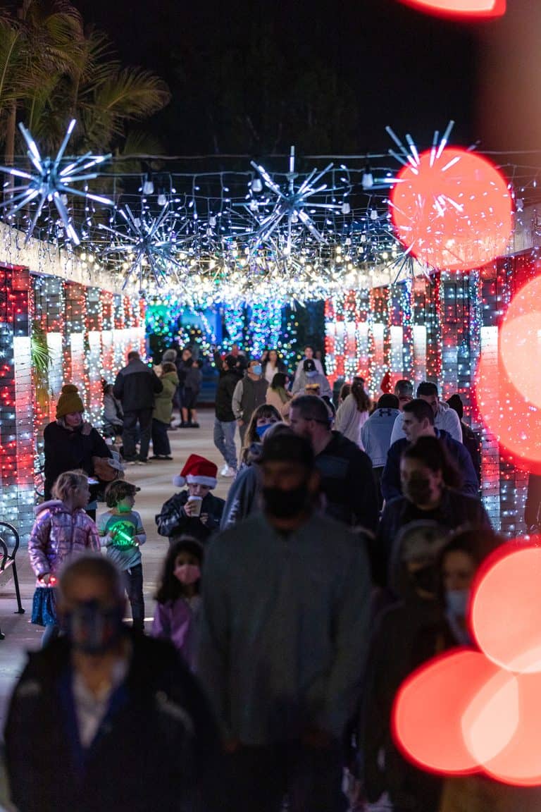 15 Fantastic Things to do in Dana Point at Christmas (2023)