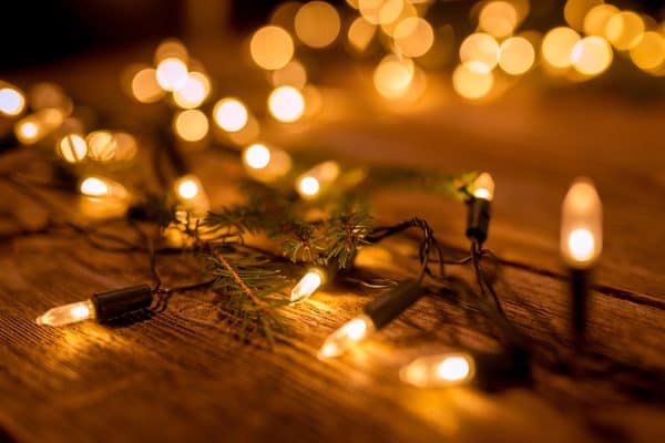 15 Fantastic Things to do in Dana Point at Christmas (2023)