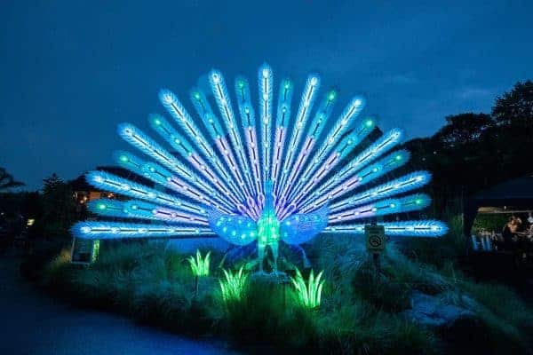 21+ Ultimate Things to do in Santa Barbara at Christmas