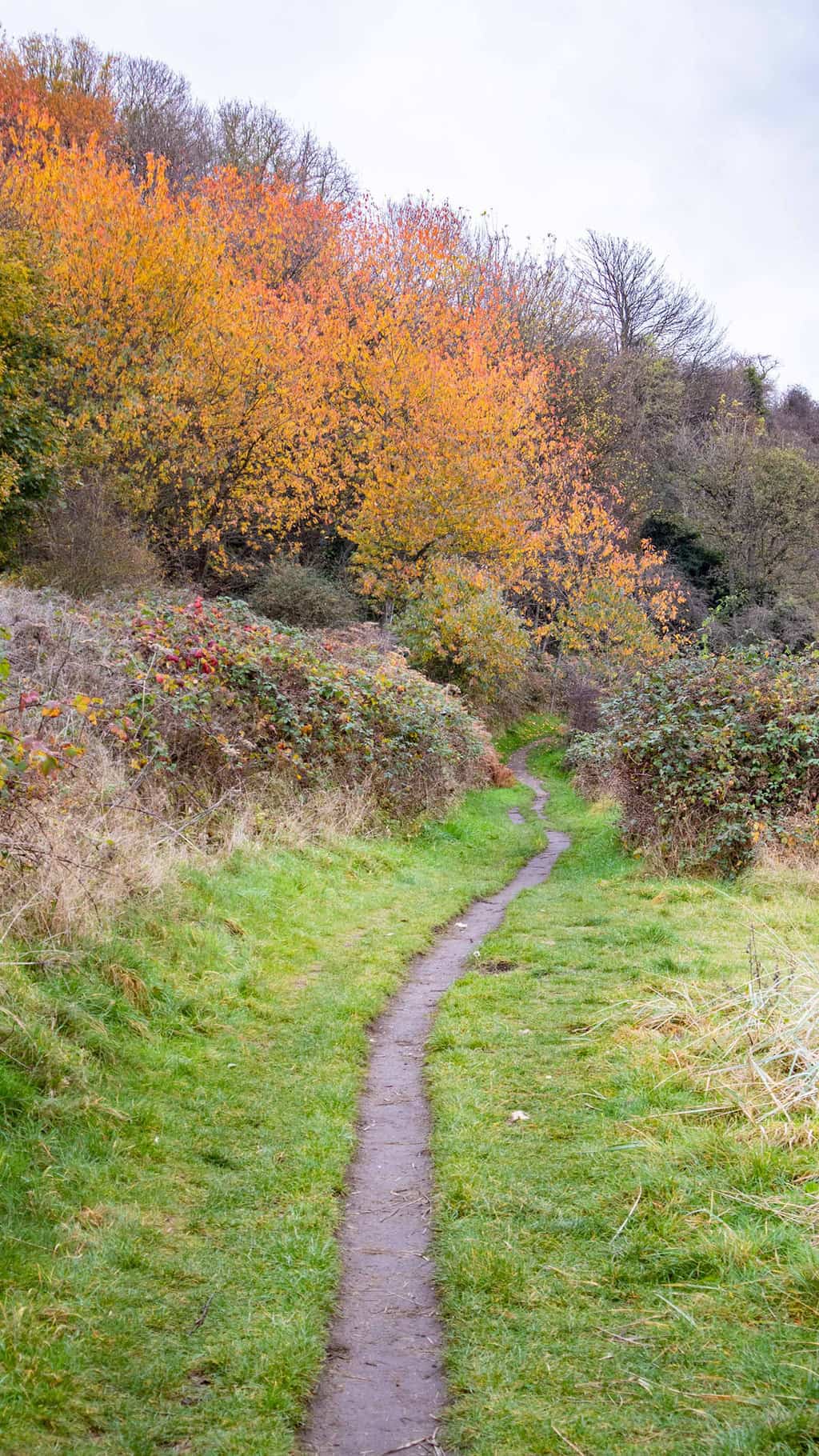 28 Easy & Worthwhile Things to do in Dunfermline Fife Scotland