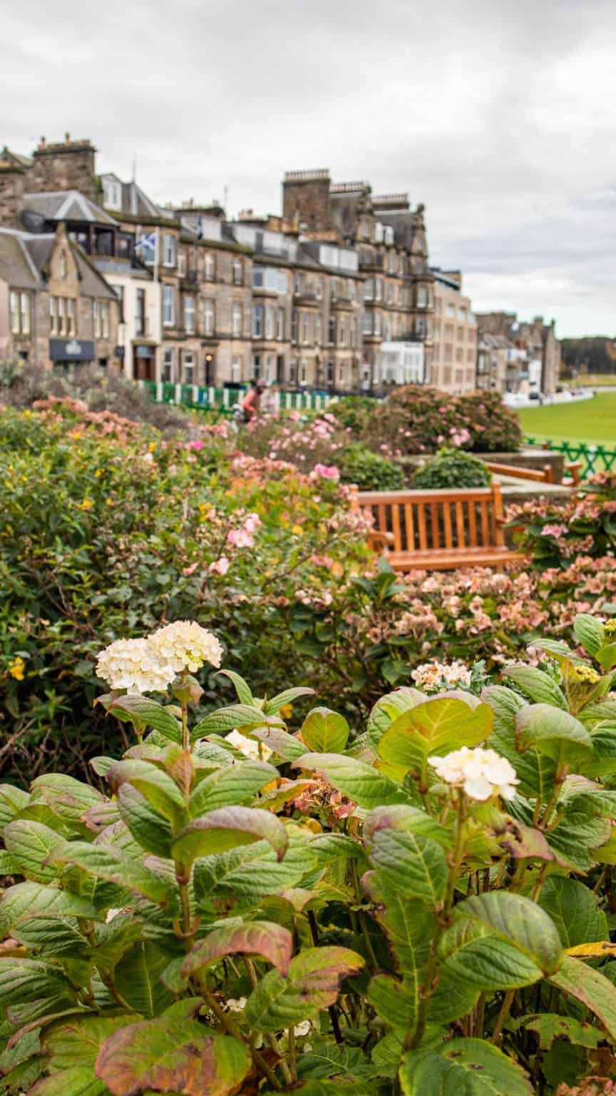 25 Astonishingly Fun Things to do in St Andrews Scotland