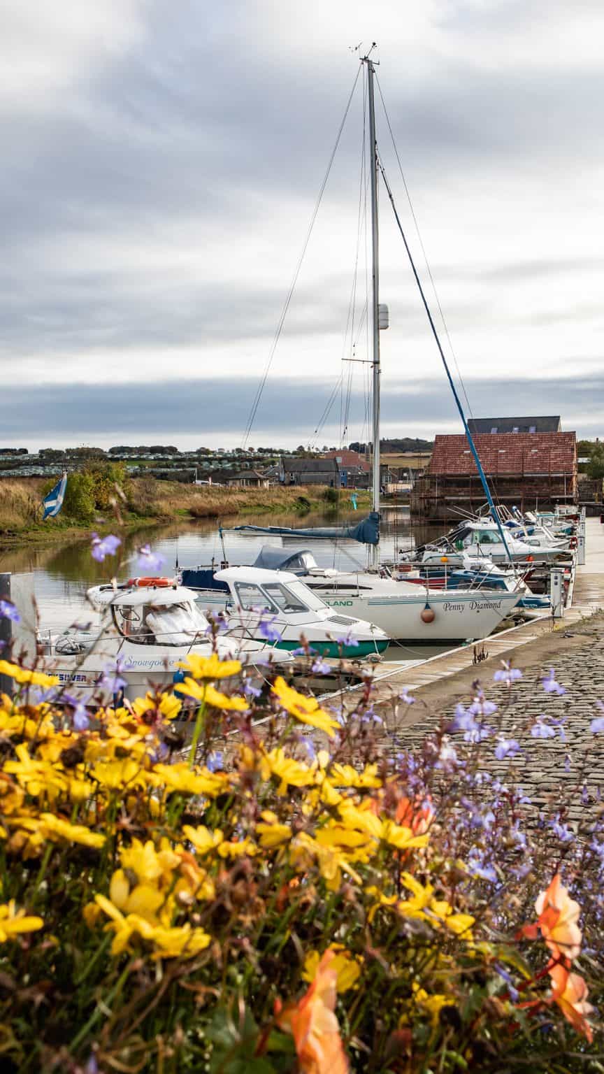 25 Astonishingly Fun Things to do in St Andrews Scotland