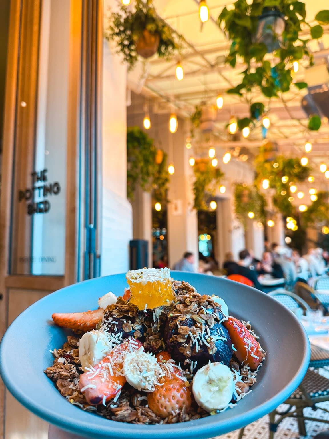 17 Delicious Restaurants for Breakfast at Santa Monica (2024)