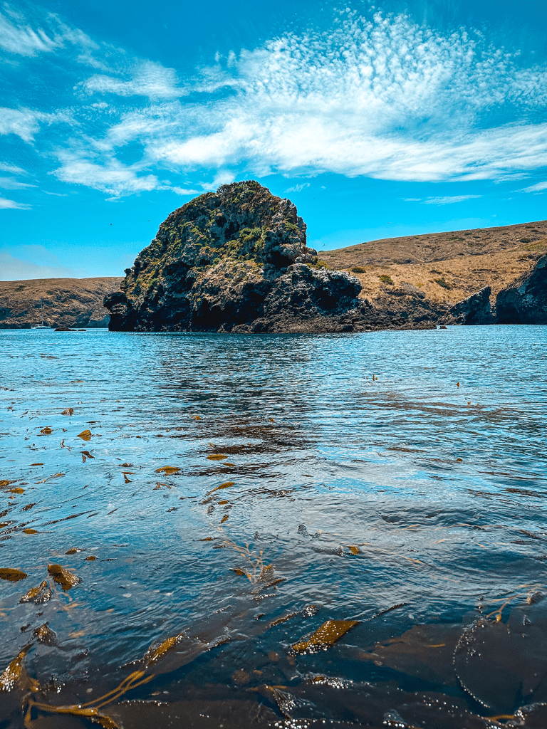 How to Experience Channel Islands Kayaking and Not be Disappointed