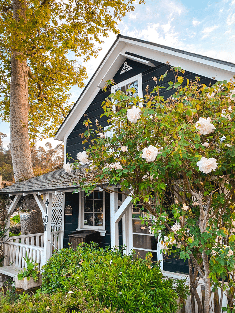 10 Amazing And Memorable Things To Do In Cambria CA