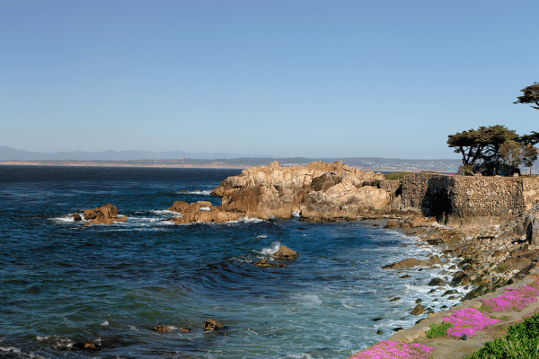Why Pacific Grove CA Should Be Your Next Vacation
