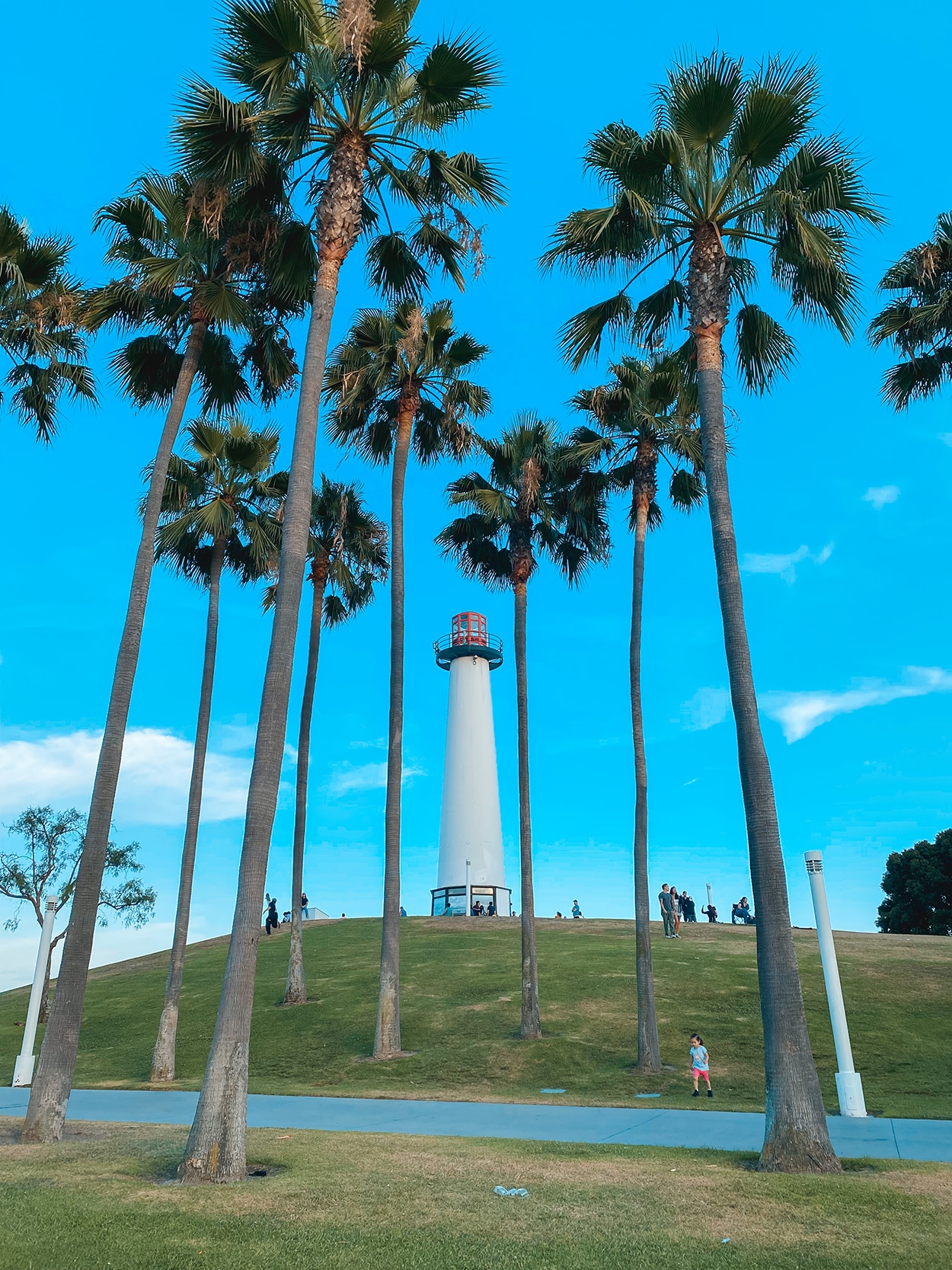 12 Pint-Sized Things to do in Long Beach with Toddlers + Babies