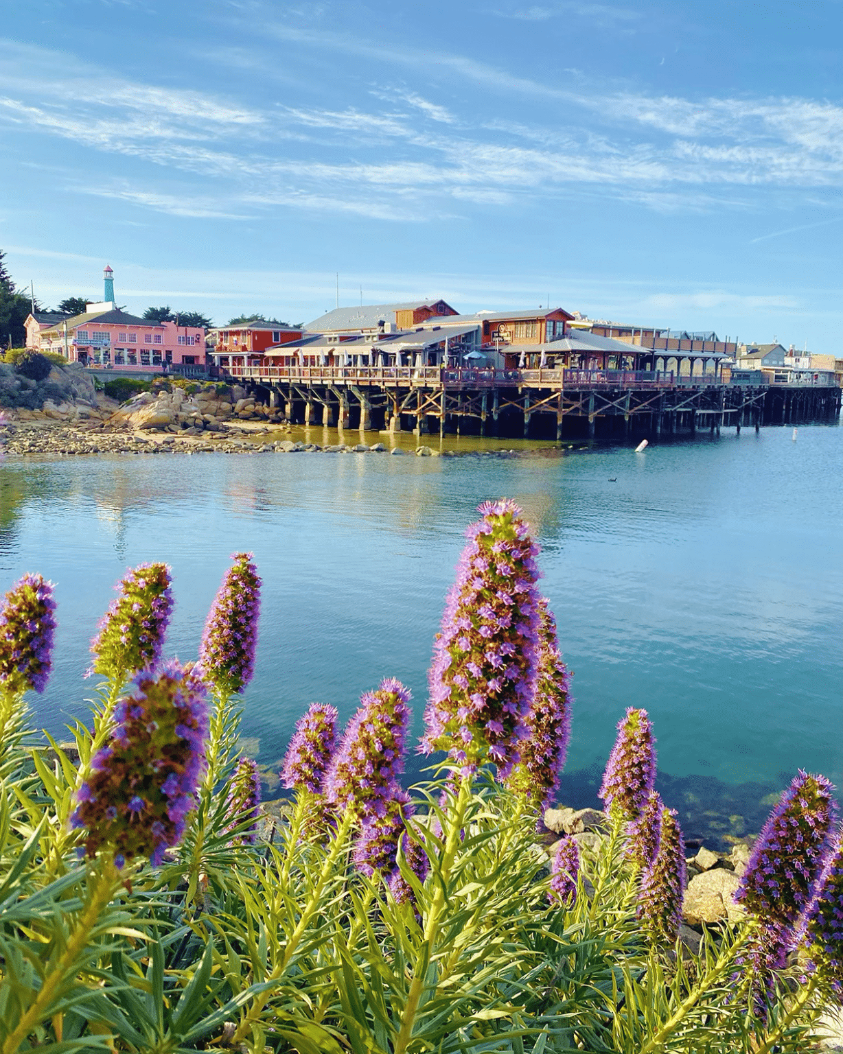 13 Unique and Fantastic Things to do in Marina CA