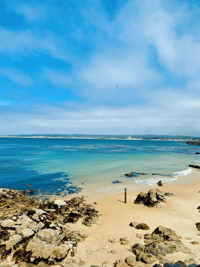 13 Unique and Fantastic Things to do in Marina CA