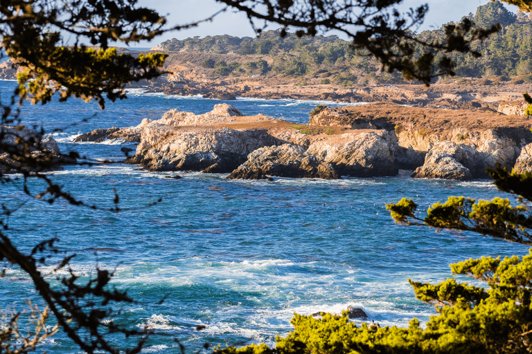 13 Fantastic Things to Do in Seaside CA