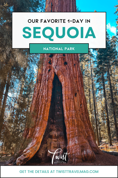 Your Ultimate Sequoia National Park Trip Guide + Itinerary